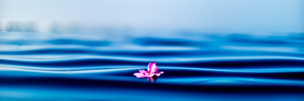 What Is mindfulness? | Solas VR